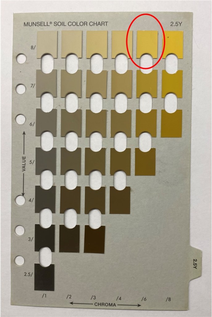 Historic Munsell Photos – BCPL Undiscovered