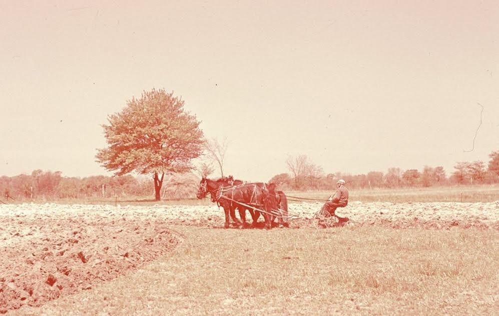 Snapshot in Time: A Peek into the Frank S. Milburn Papers, 1908-2014 ...